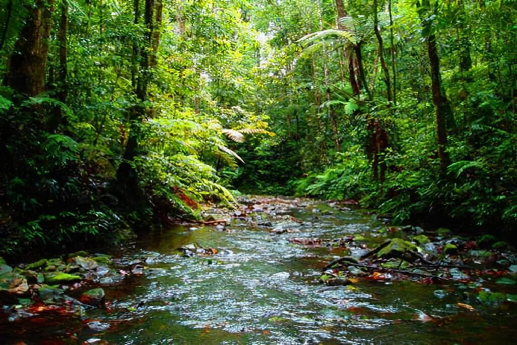 Top 10 most beautiful places for visitors in Cameroon.